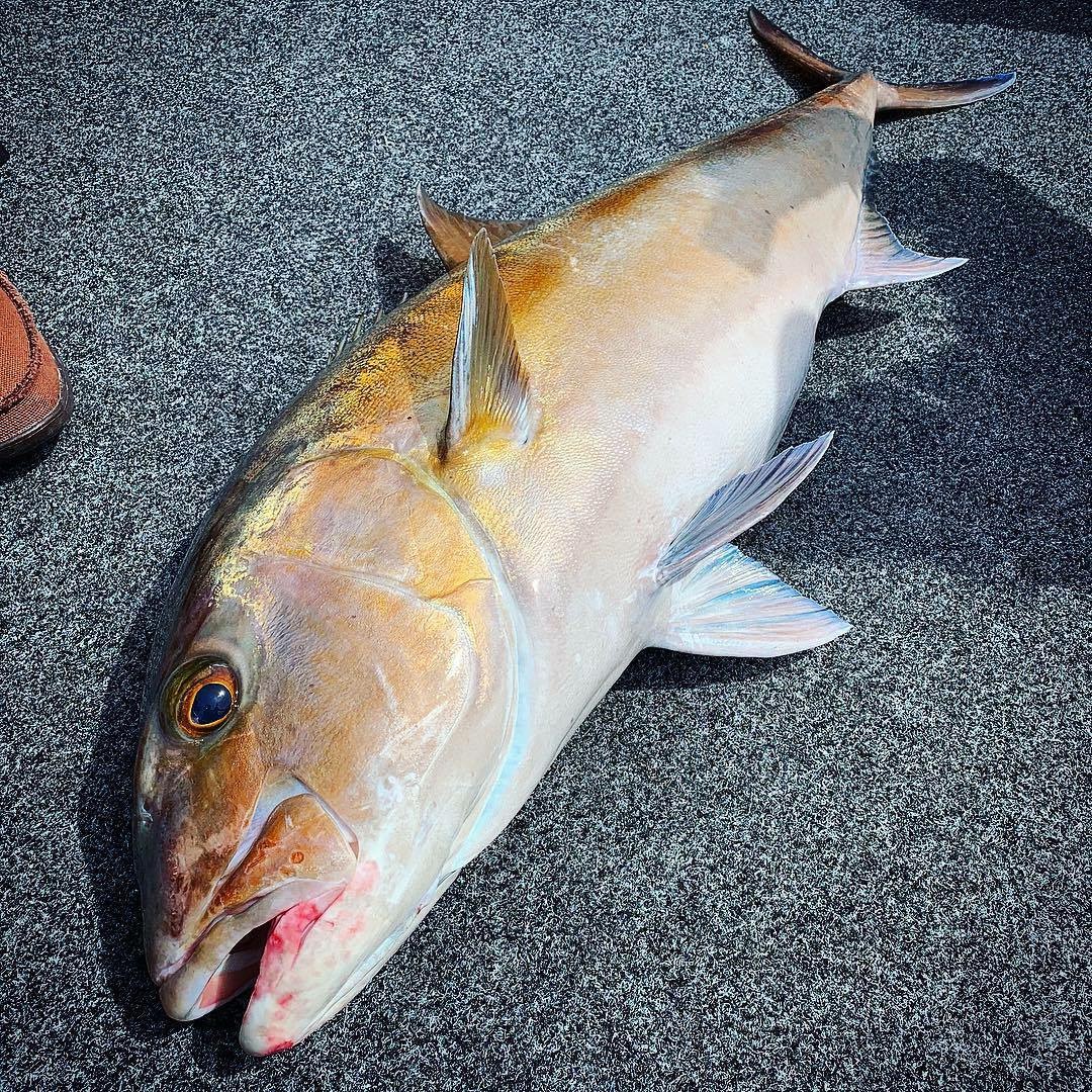 Big Moe’s VIP Fishing Experience - BBQ Events Australia